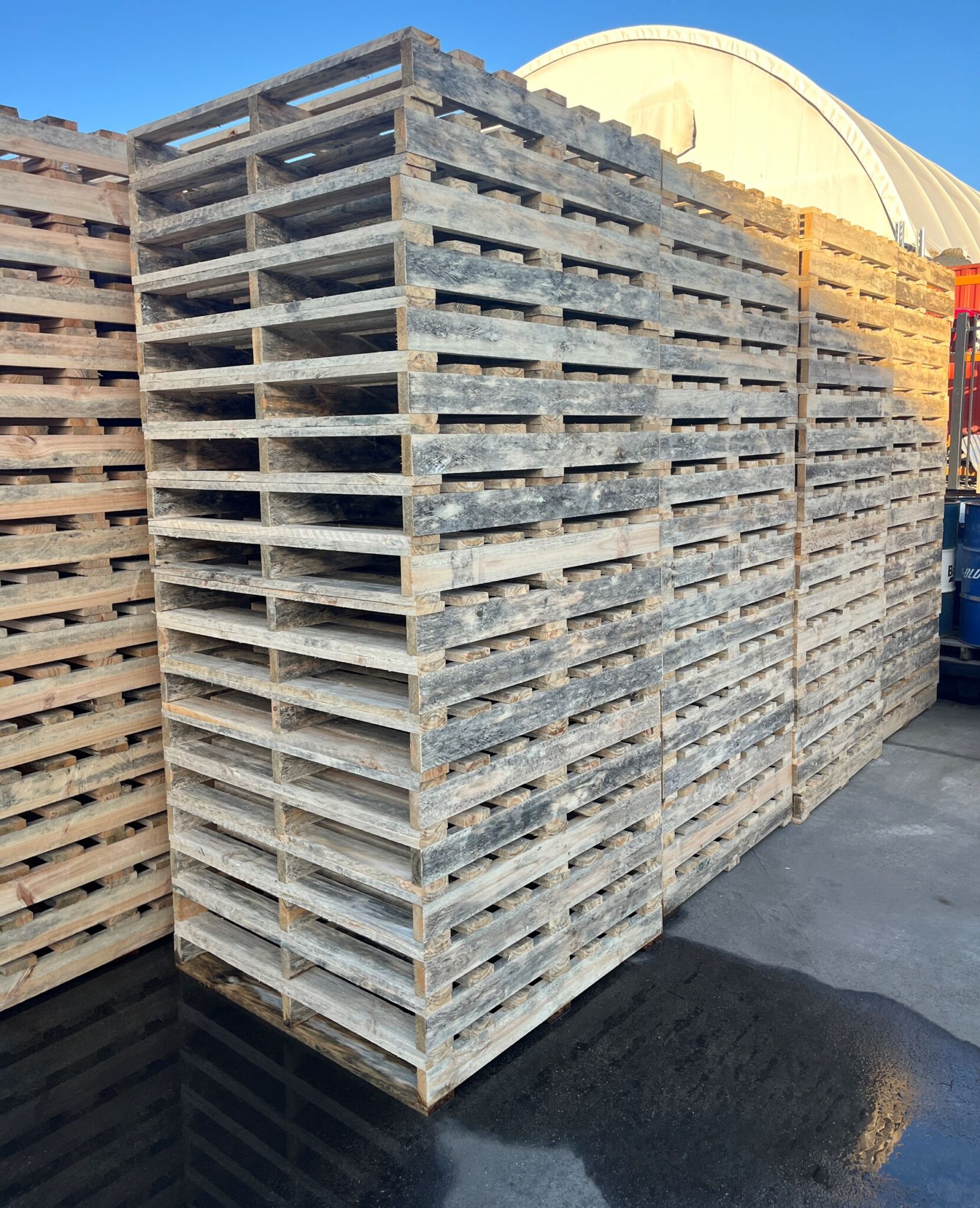 EURO PALLETS - Elite Pallets